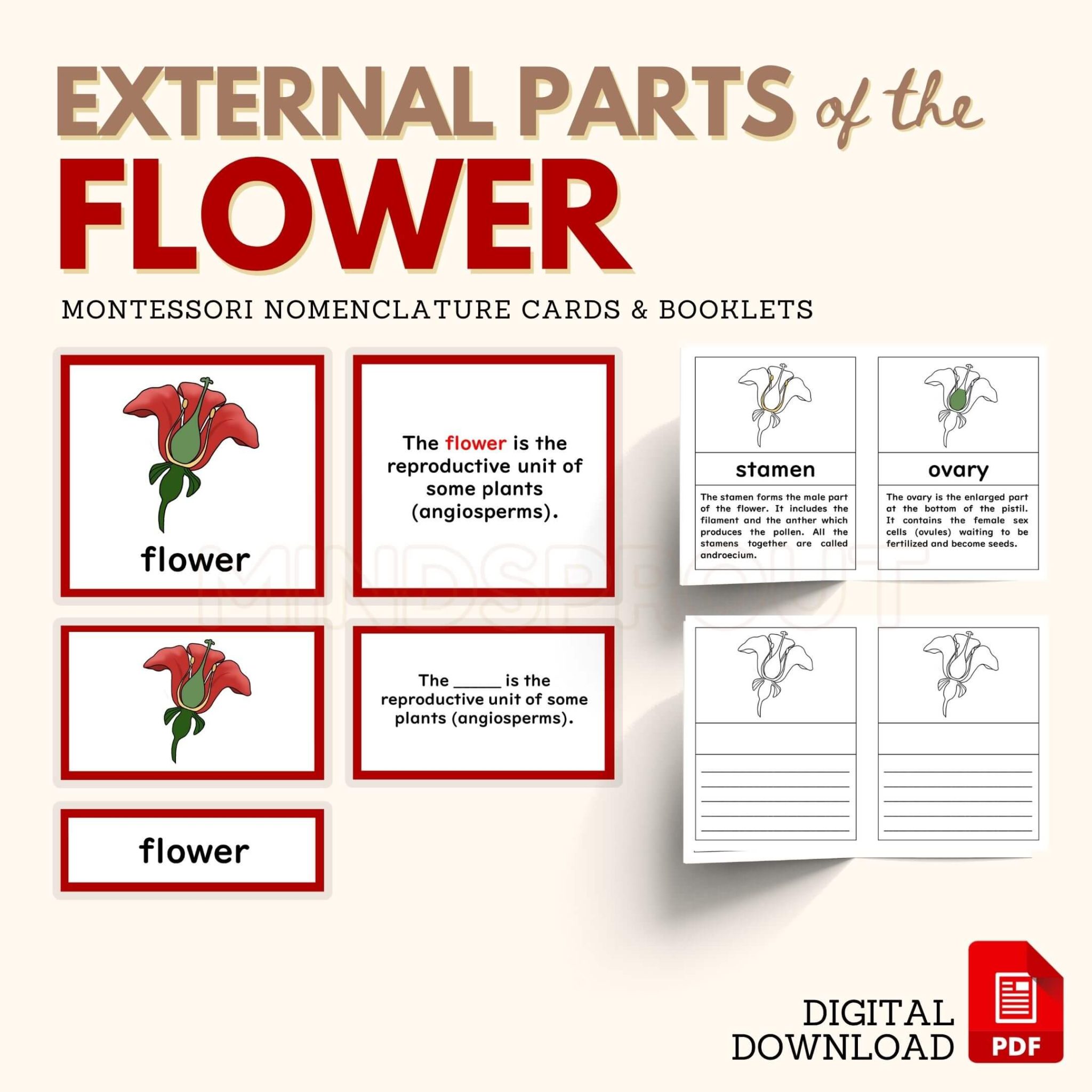 Parts of the FLOWER Montessori Botany Unit Study 5-Part Card Definition ...