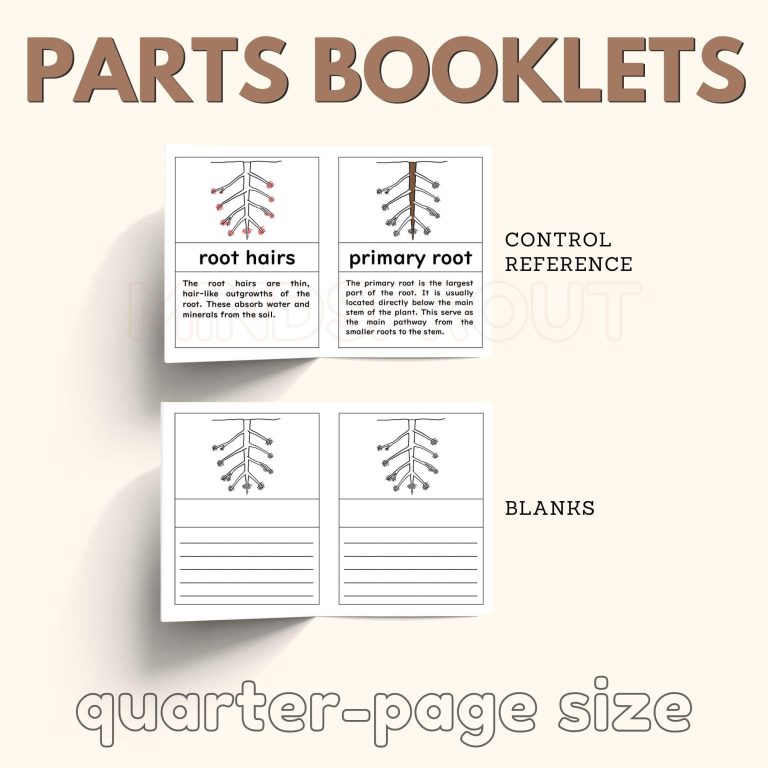 Parts of the ROOT Montessori Botany Unit Study 5-Part Card Definition ...