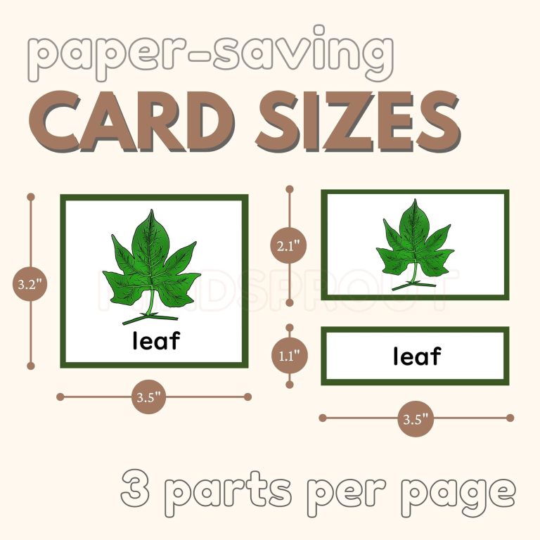 Parts of the LEAF Montessori Botany Unit Study 5-Part Card Definition ...