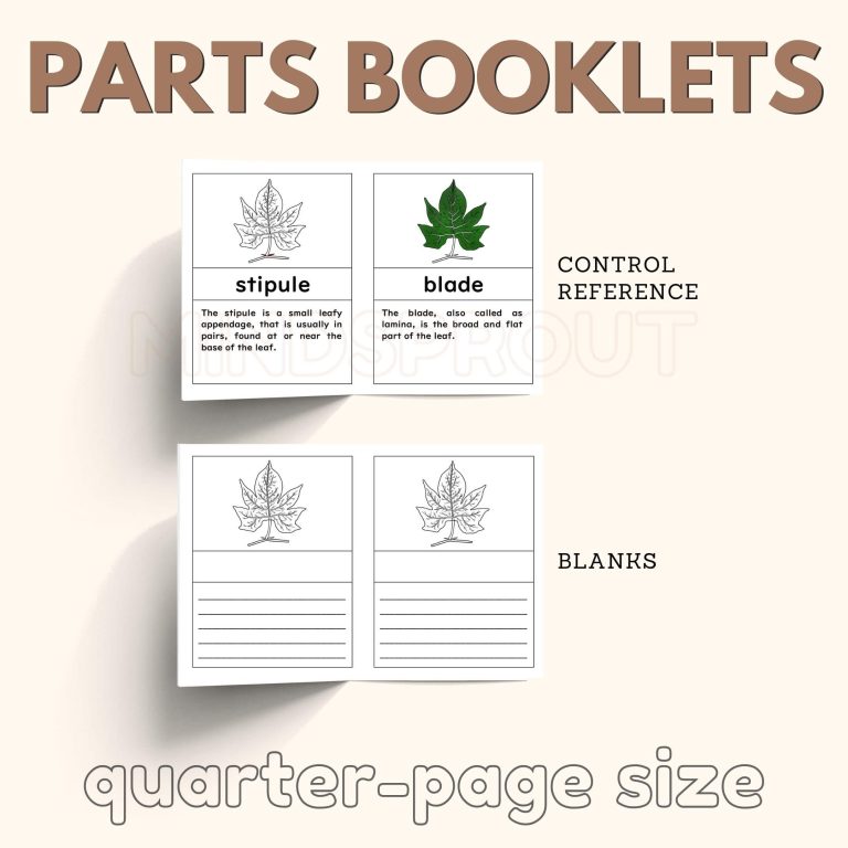 Parts of the LEAF Montessori Botany Unit Study 5-Part Card Definition ...