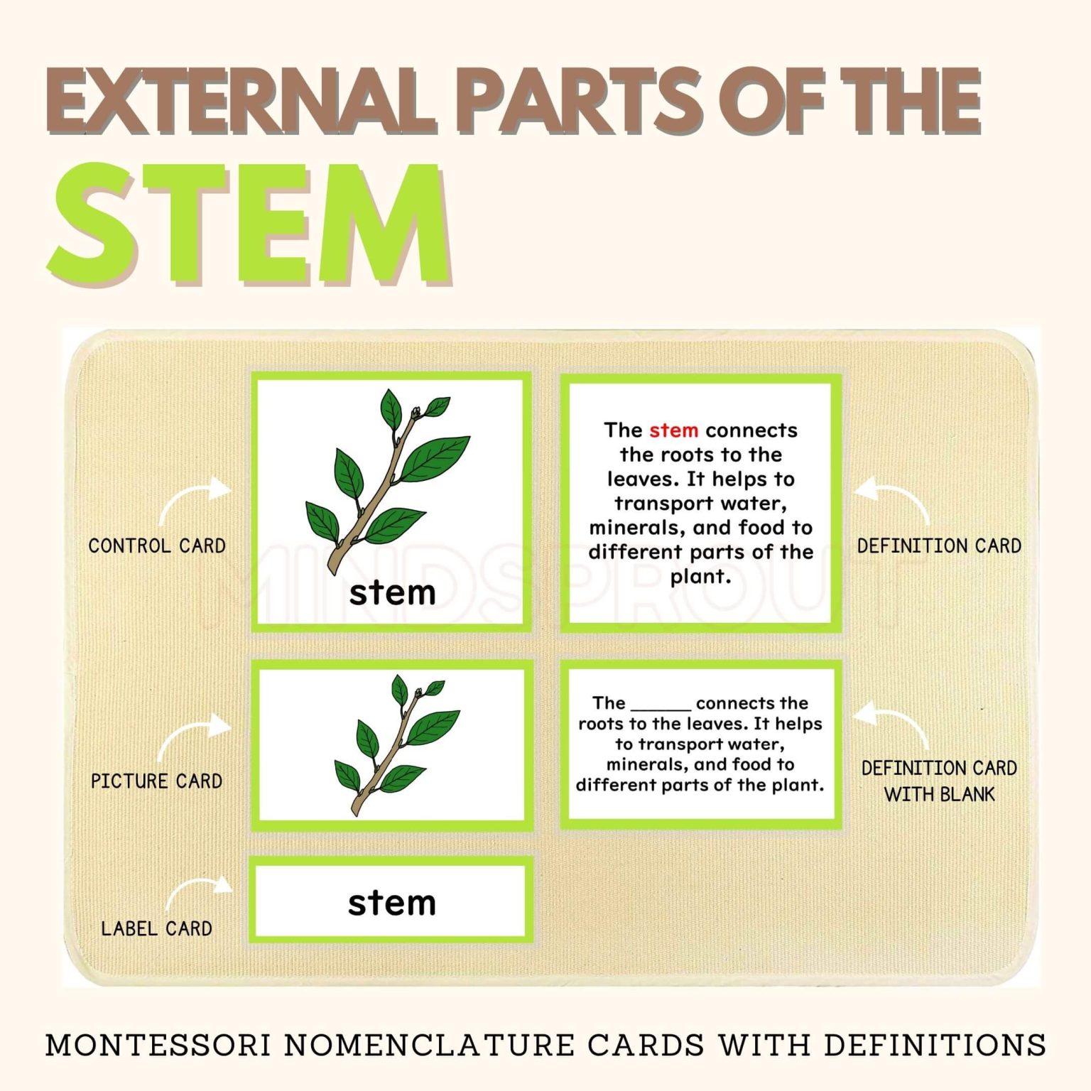 Parts of the STEM Montessori Botany Unit Study 5-Part Card Definition ...