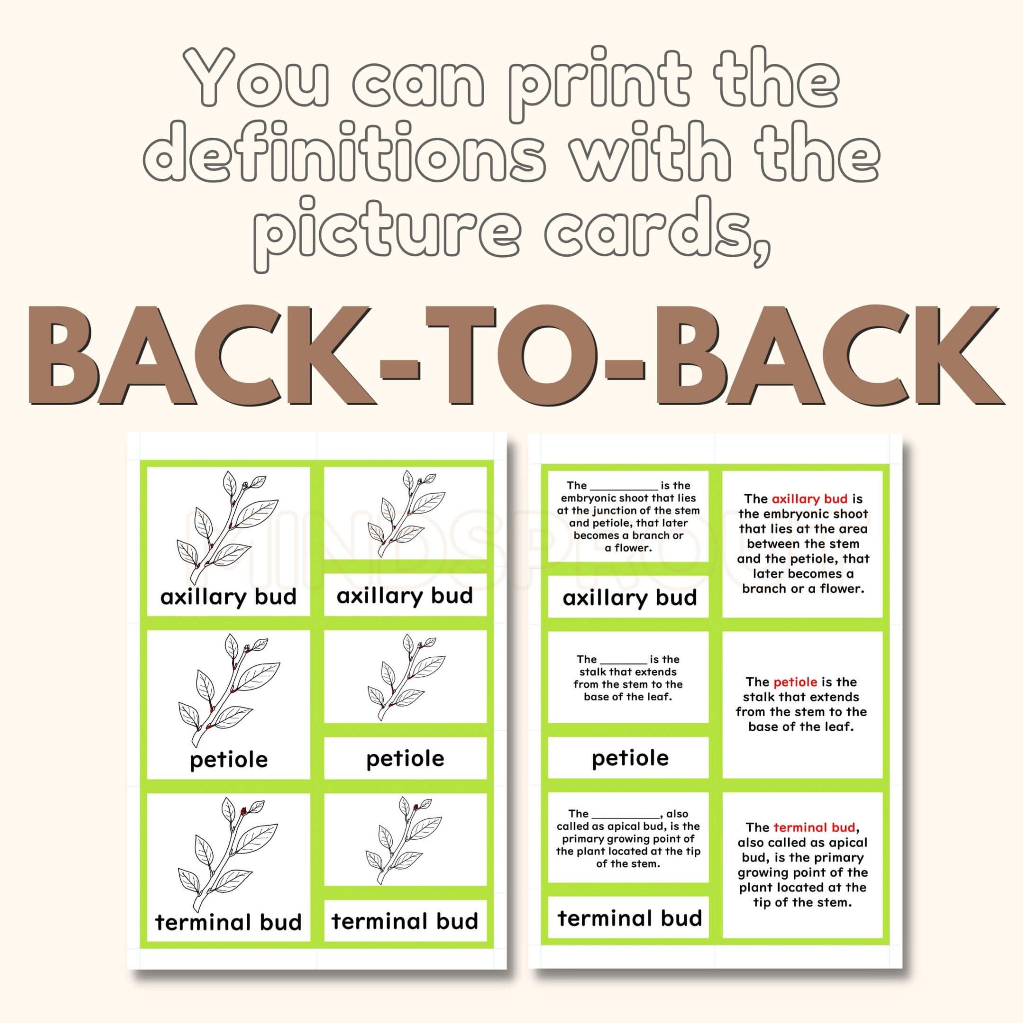 Parts of the STEM Montessori Botany Unit Study 5-Part Card Definition ...