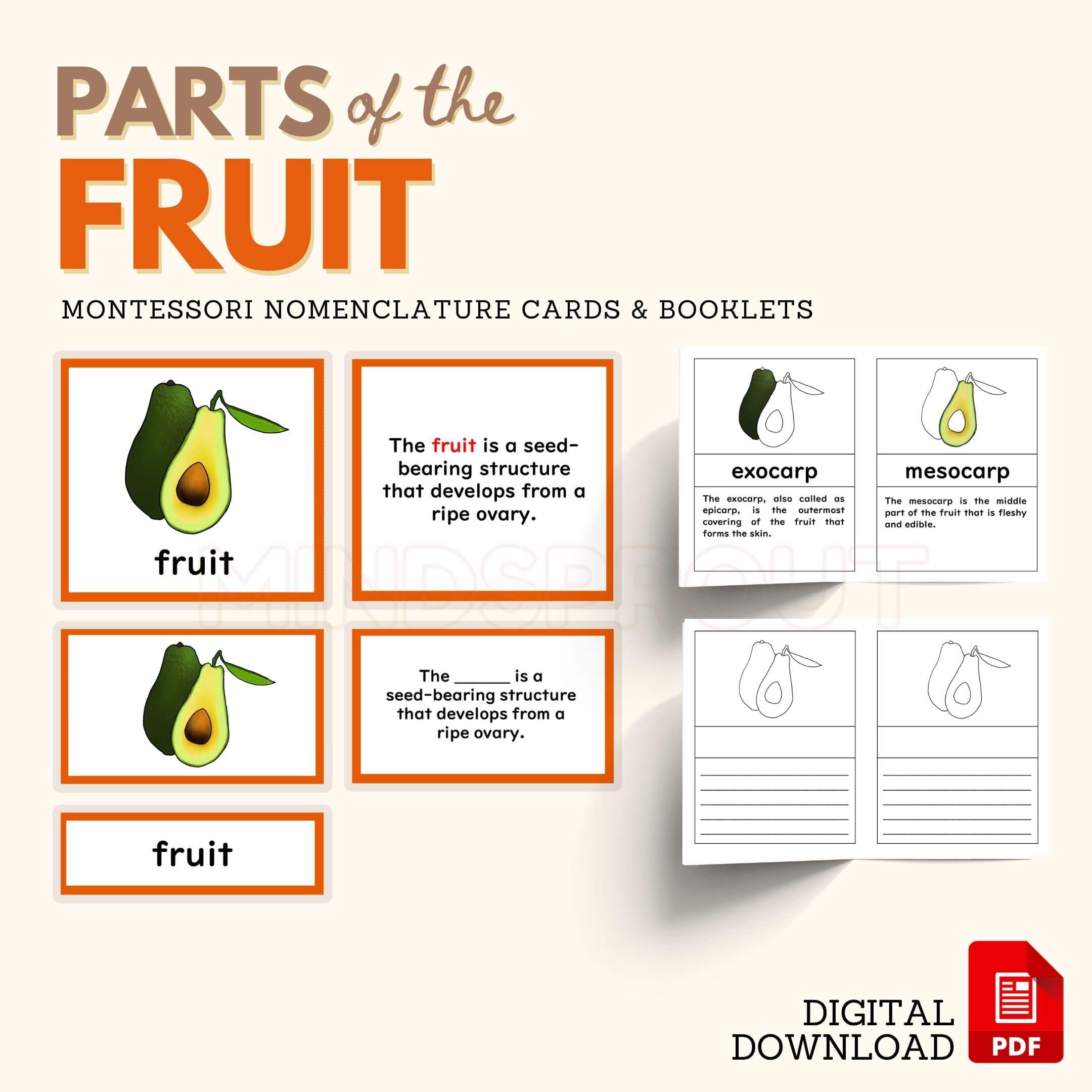 DIY Parts of the Flower Puzzle Botany Montessori Printable Material ...