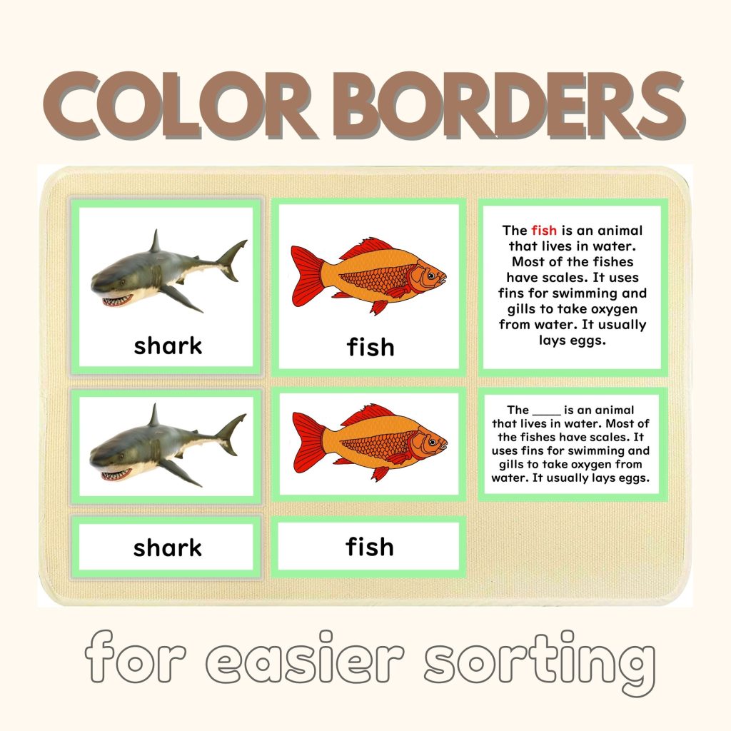 FISH Zoology Unit Study Parts of Fishes Montessori Nomenclature Cards ...