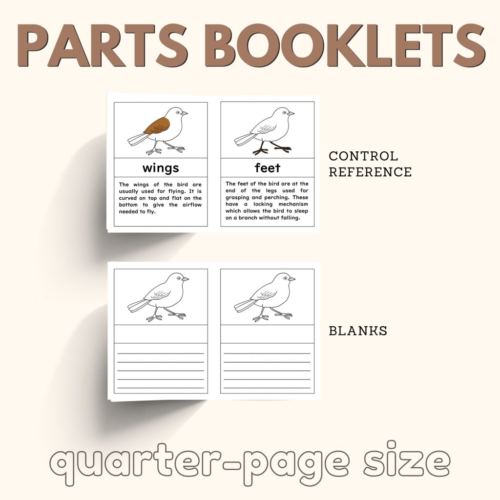 BIRDS Zoology Unit Study Parts of Birds Montessori Nomenclature Cards ...