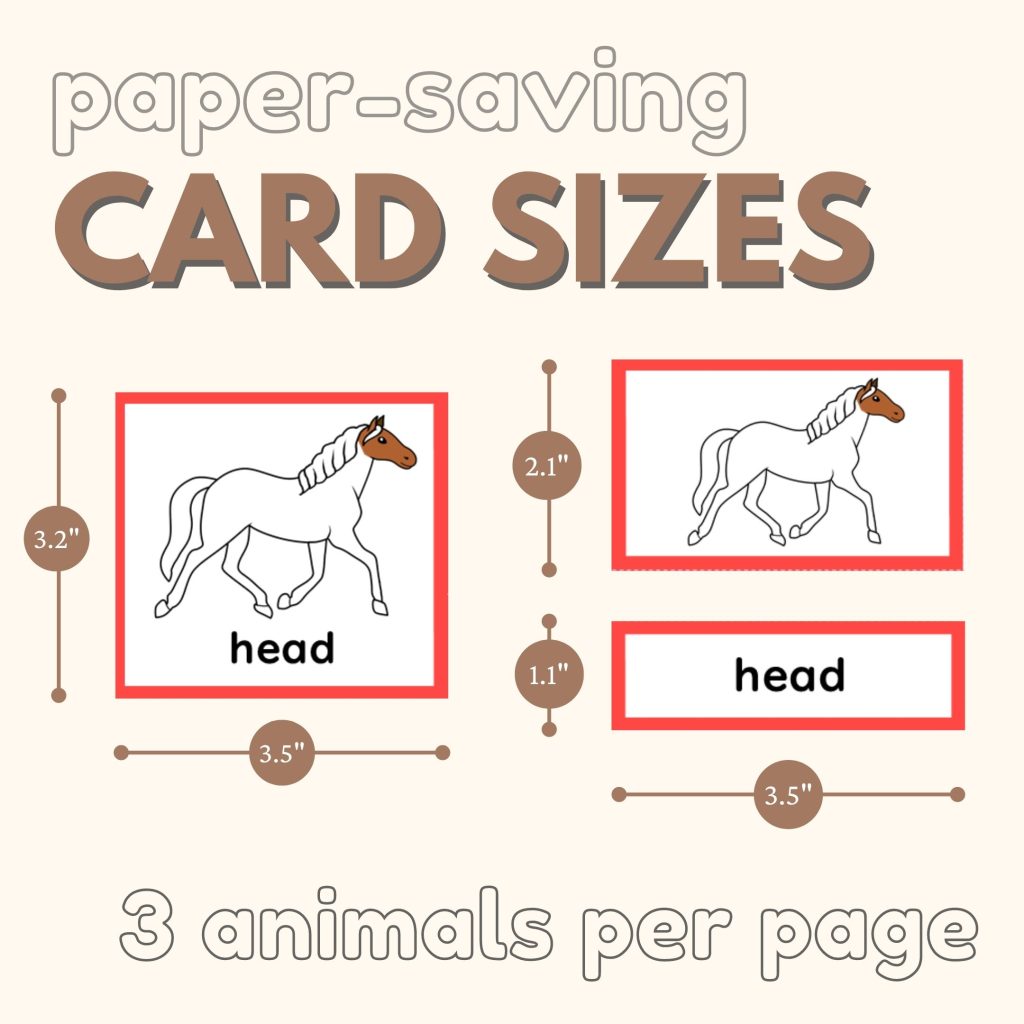 MAMMALS Zoology Unit Study Parts of Horse Montessori Nomenclature Cards ...