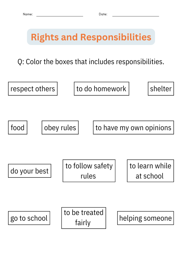 Rights and Responsibilities of Citizens Activities Worksheets for ...