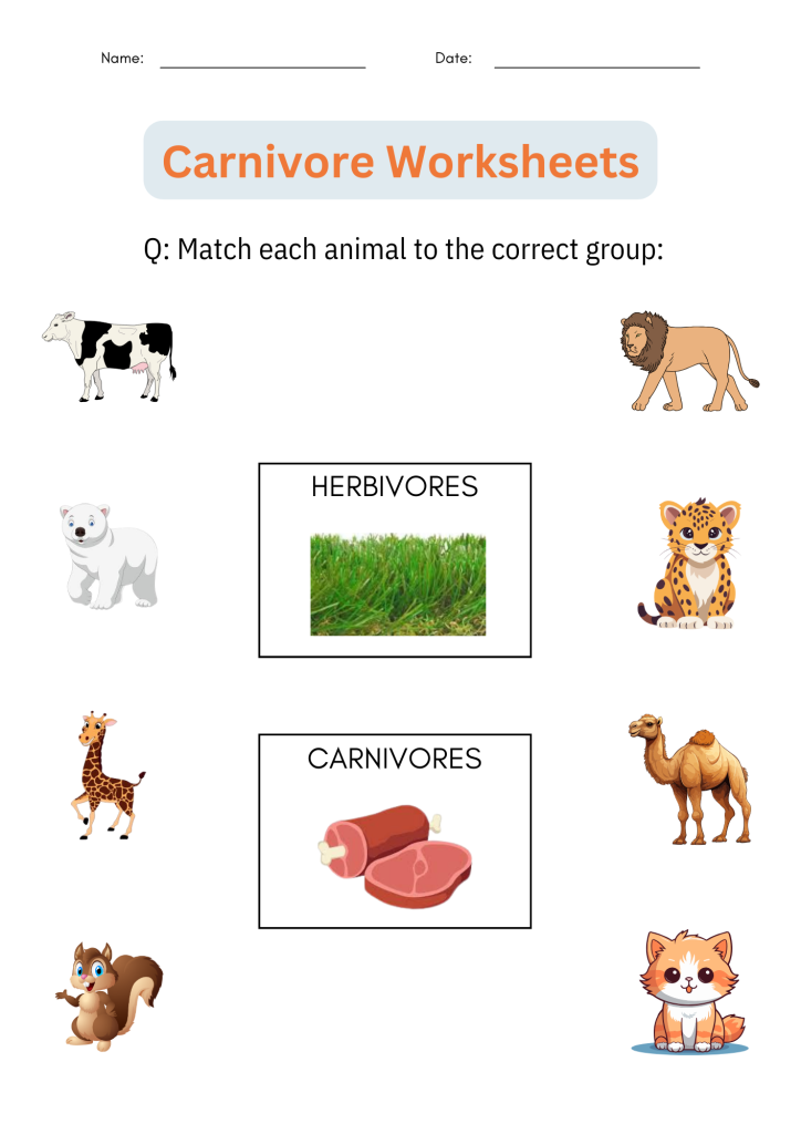 Printable Animal Classification - Carnivore Worksheets Activities for ...