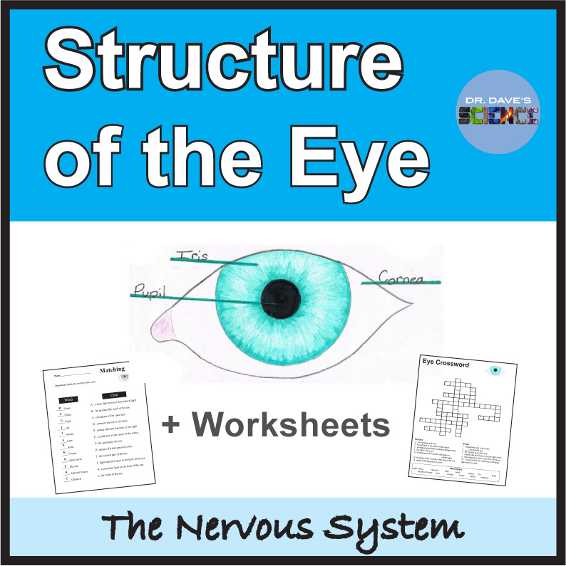 Scientific Method Bundle Worksheets Activity PowerPoint | Made By Teachers