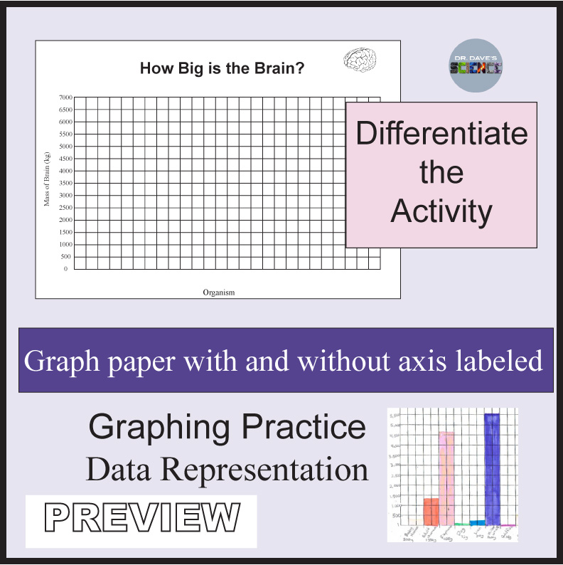 Nervous System Activity Brain Size Graph Middle School Human Body ...