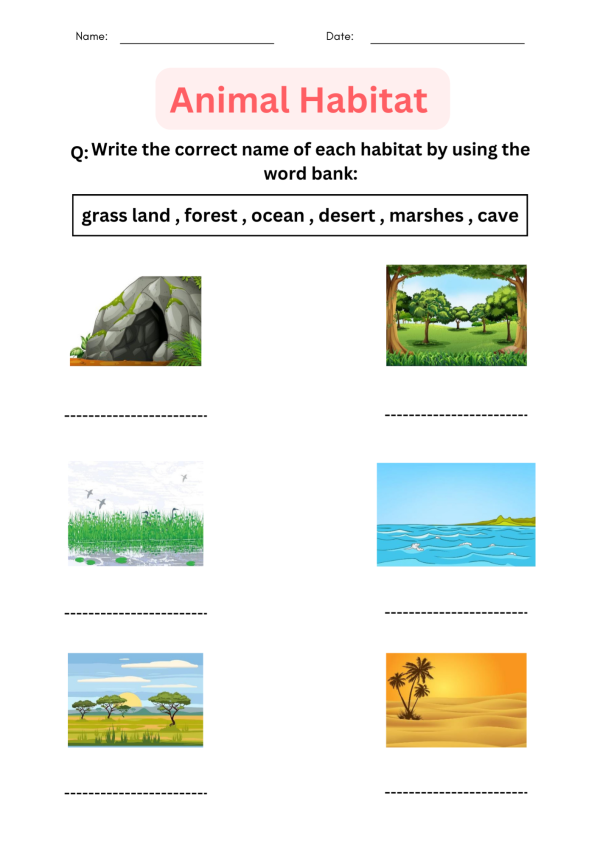 printable matching activity animal habitats worksheets for grade 1, 2 ...