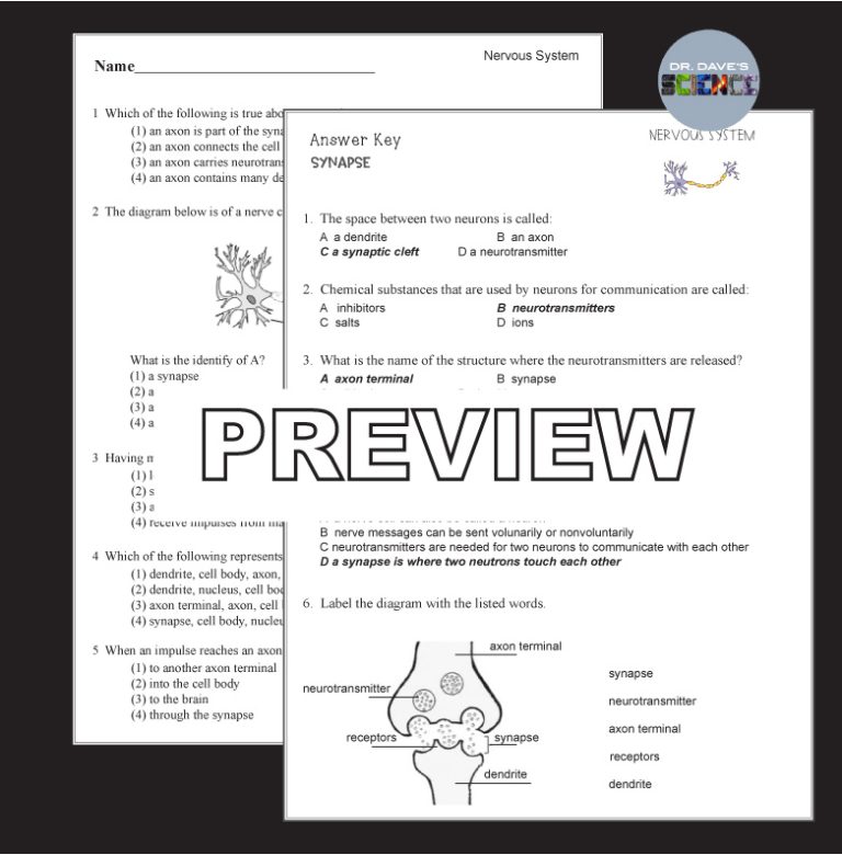 Nervous System Worksheet Packet Neuroscience - Made By Teachers