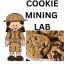 Enviromental Science Cookie Mining Lab Classroom & Home School Geology ...