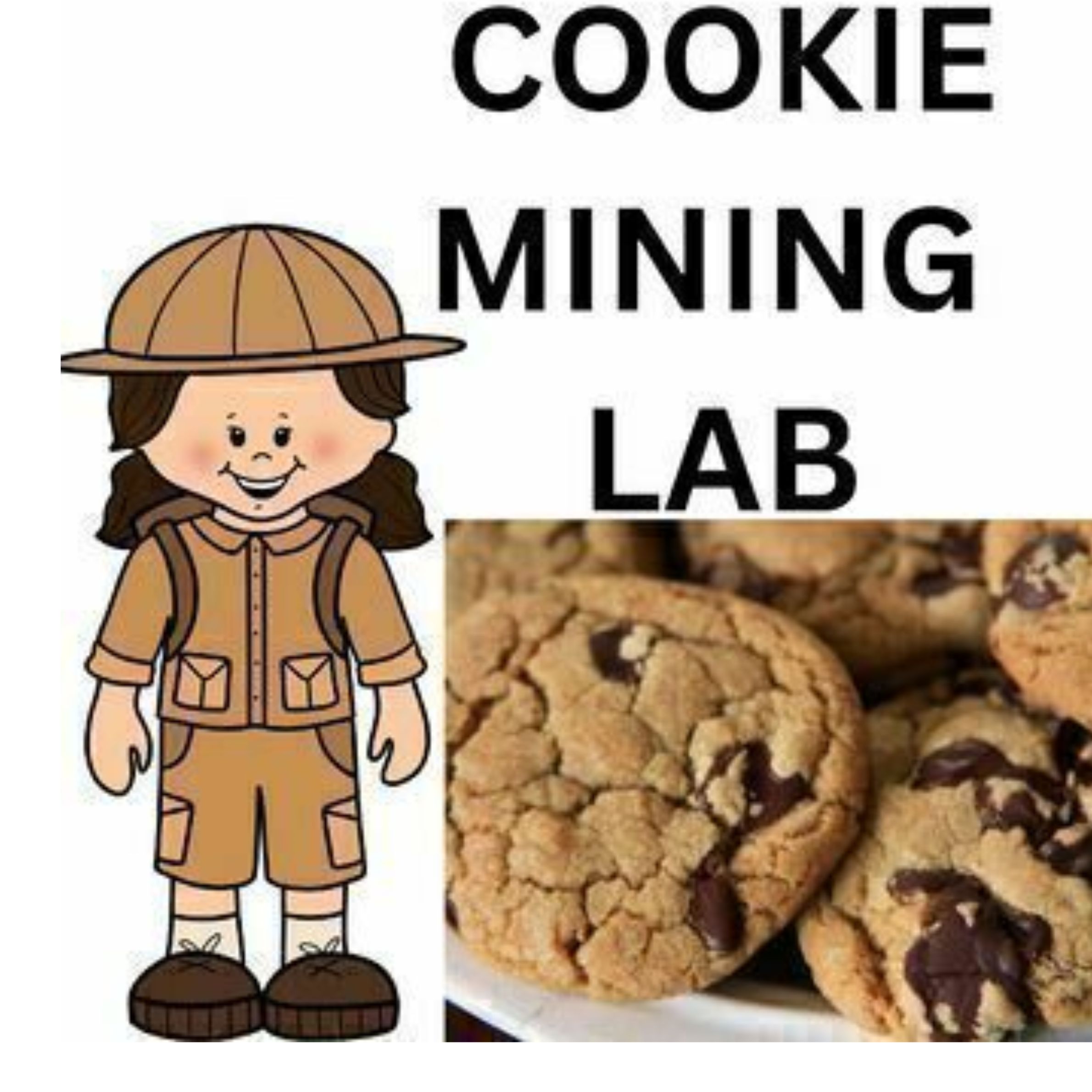 Chemistry pH Candy Labs and Guided Reading High School Science | Made ...