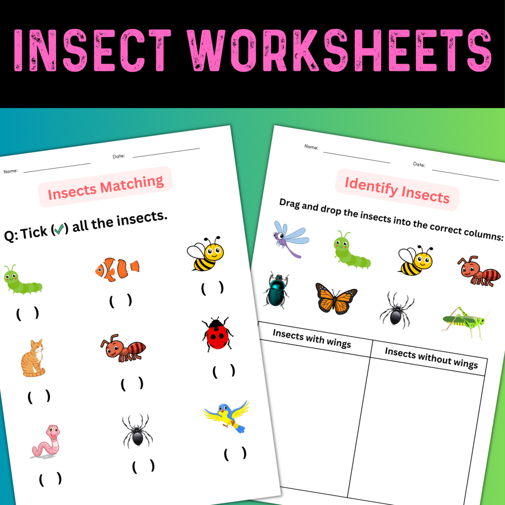Printable Insects Worksheet for Kindergarten - Identify and Matching ...