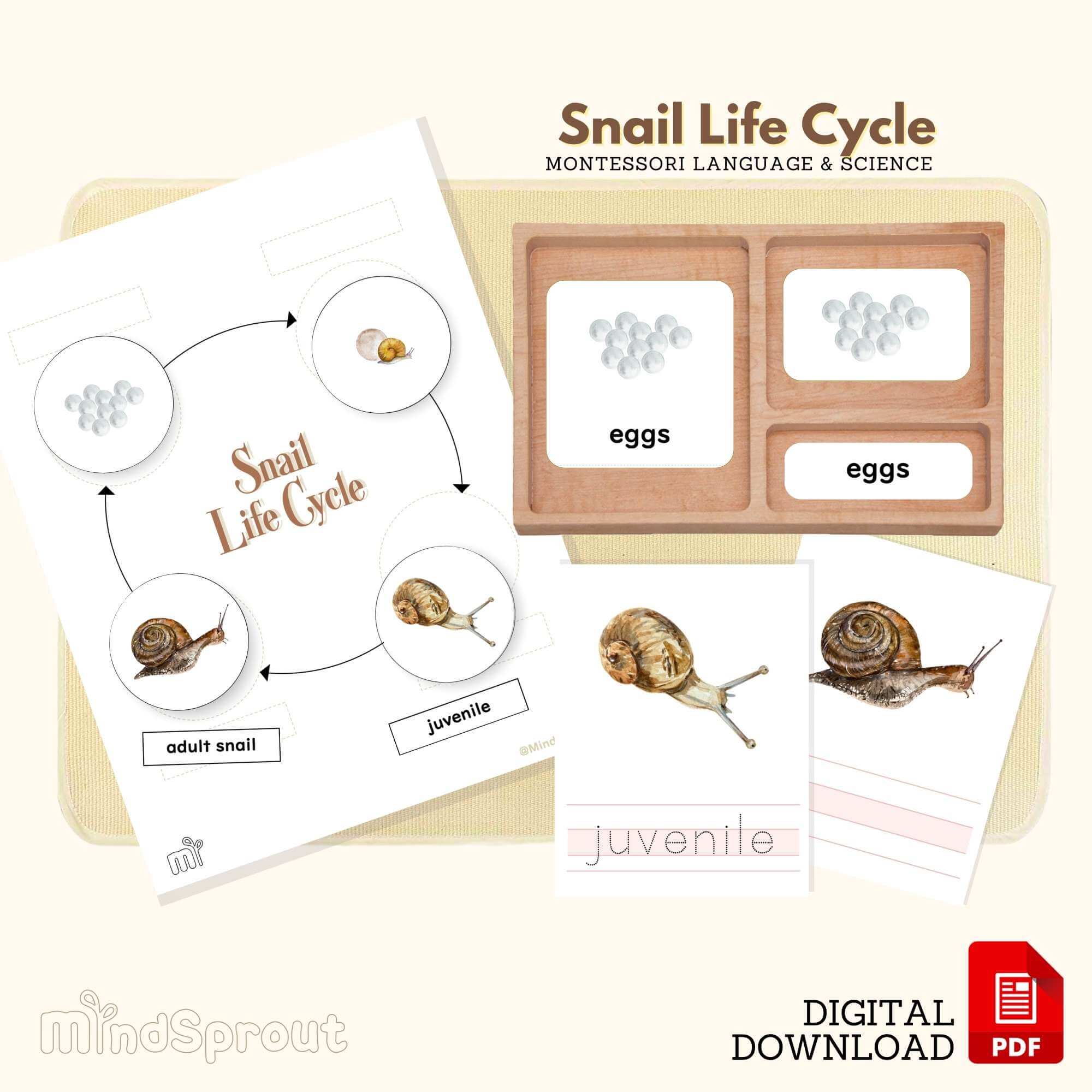 Skin Colors Matching Cards Zoology Montessori Printable Material | Made ...
