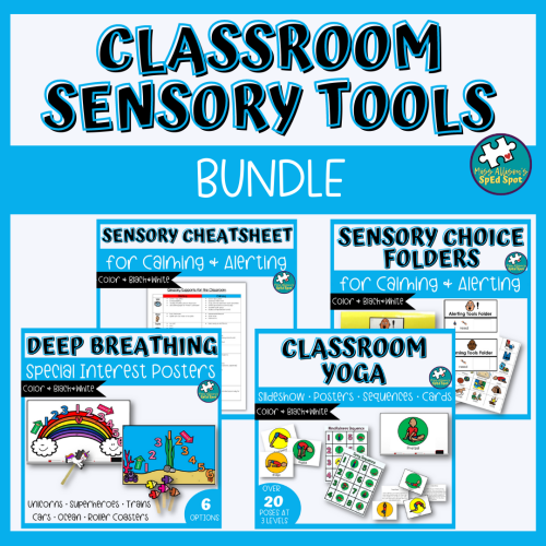 Classroom Sensory Tool Bundle for Occupational Therapists and Special ...