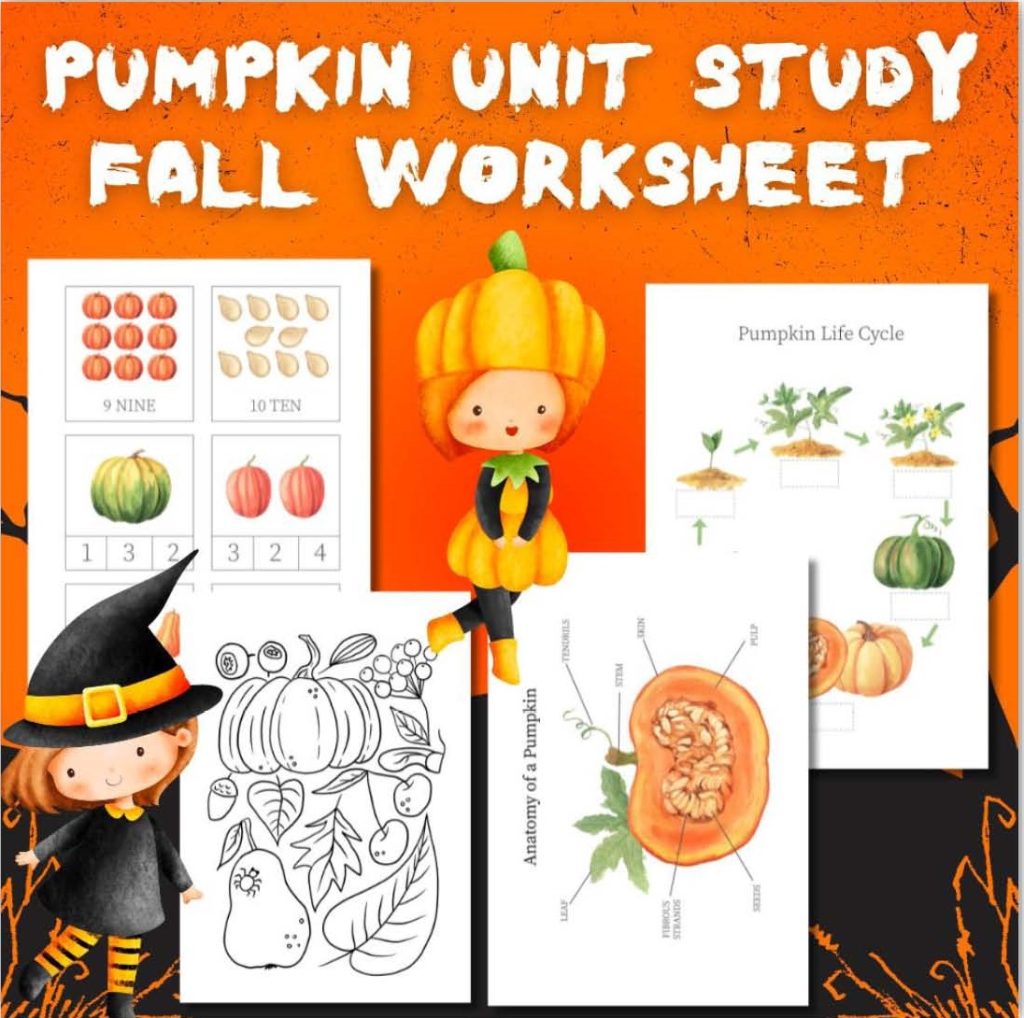 Pumpkin Unit Study, Fall Worksheet, Kindergarden Worksheets & Teaching ...