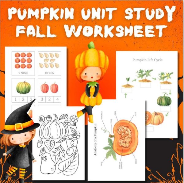Pumpkin Unit Study, Fall Worksheet, Kindergarden Worksheets & Teaching ...