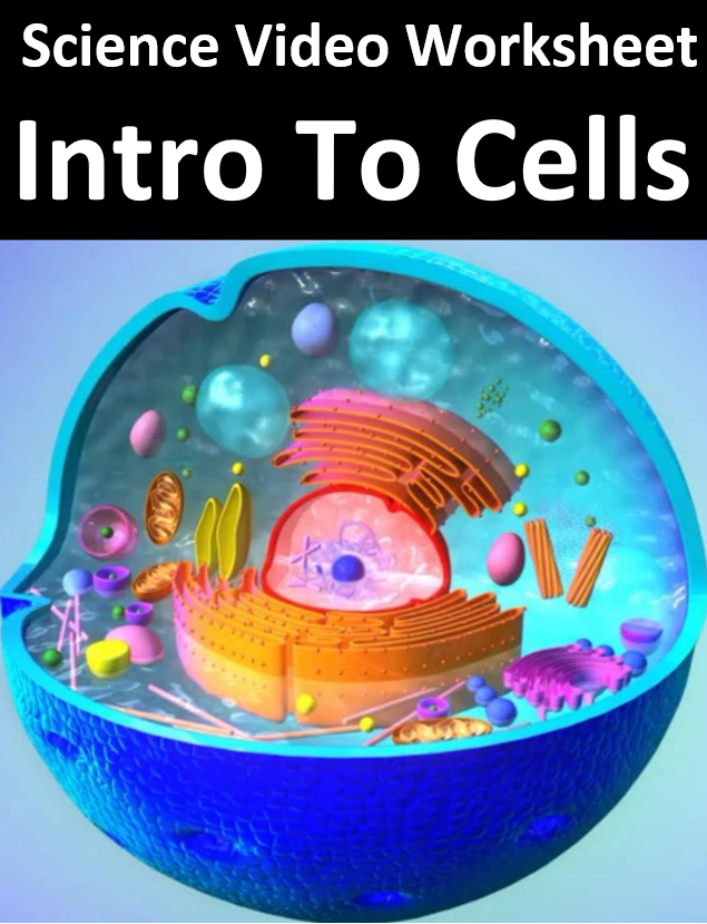 Intro to Primary Colors. Video sheet, Google Forms, Canvas & more (V2 ...