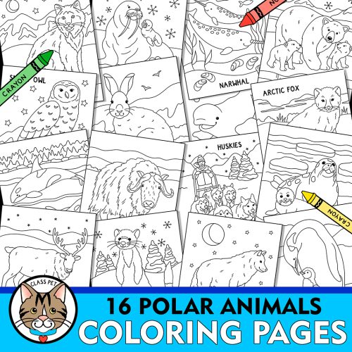 Arctic and Polar Animals Coloring Pages, Winter Animals Coloring Sheets ...