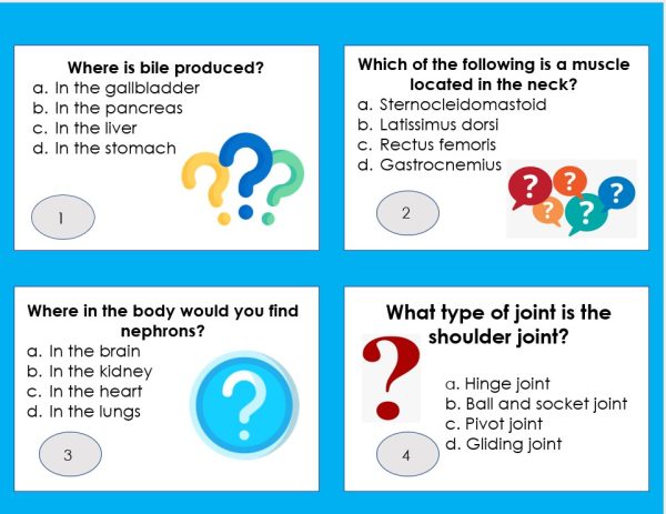 All About the Human Body Task Cards (Anatomy and Physiology, Biology ...