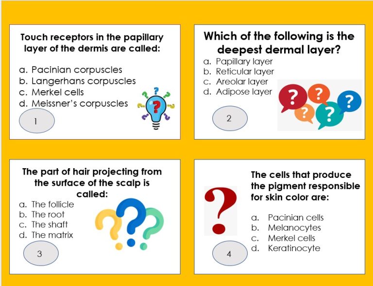 All About the Integumentary System Task Cards (Anatomy, Biology, Skin ...