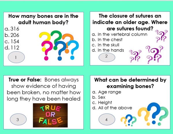 Forensic Science: Forensic Anthropology Task Cards - Made By Teachers