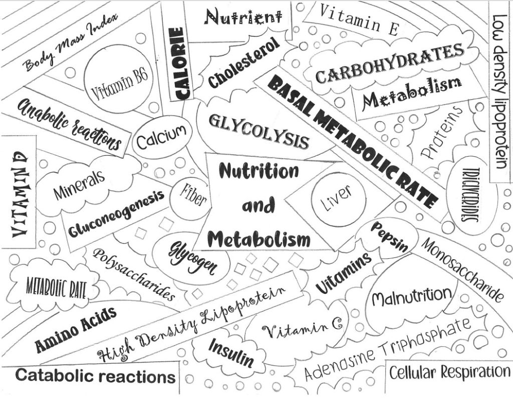 Nutrition and Metabolism Word Collage (Vocabulary, Coloring, Health ...