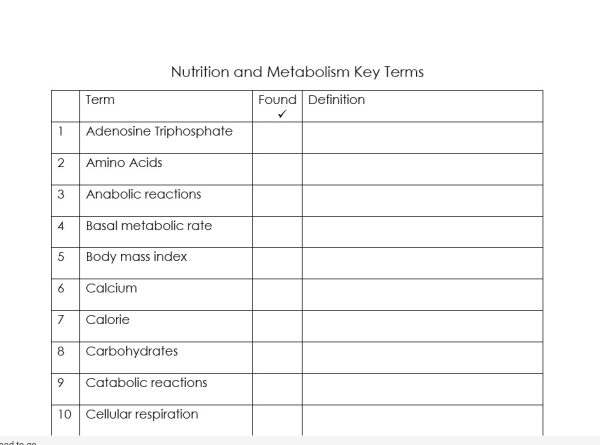 Nutrition and Metabolism Word Collage (Vocabulary, Coloring, Health ...
