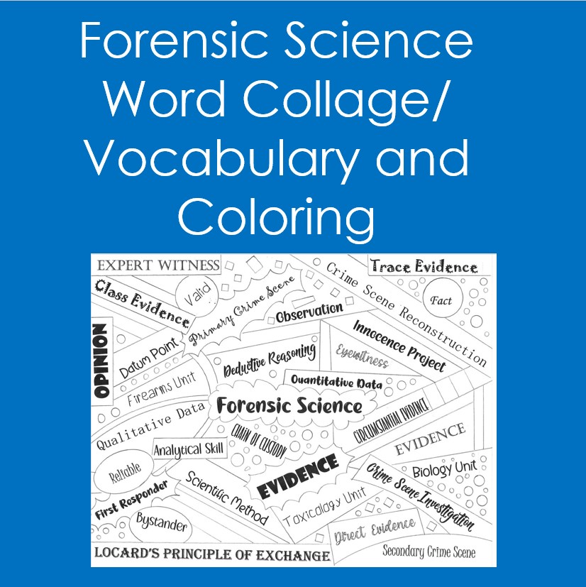 Let's Talk Vocab...World History: The Big Review 1 Worksheet ...