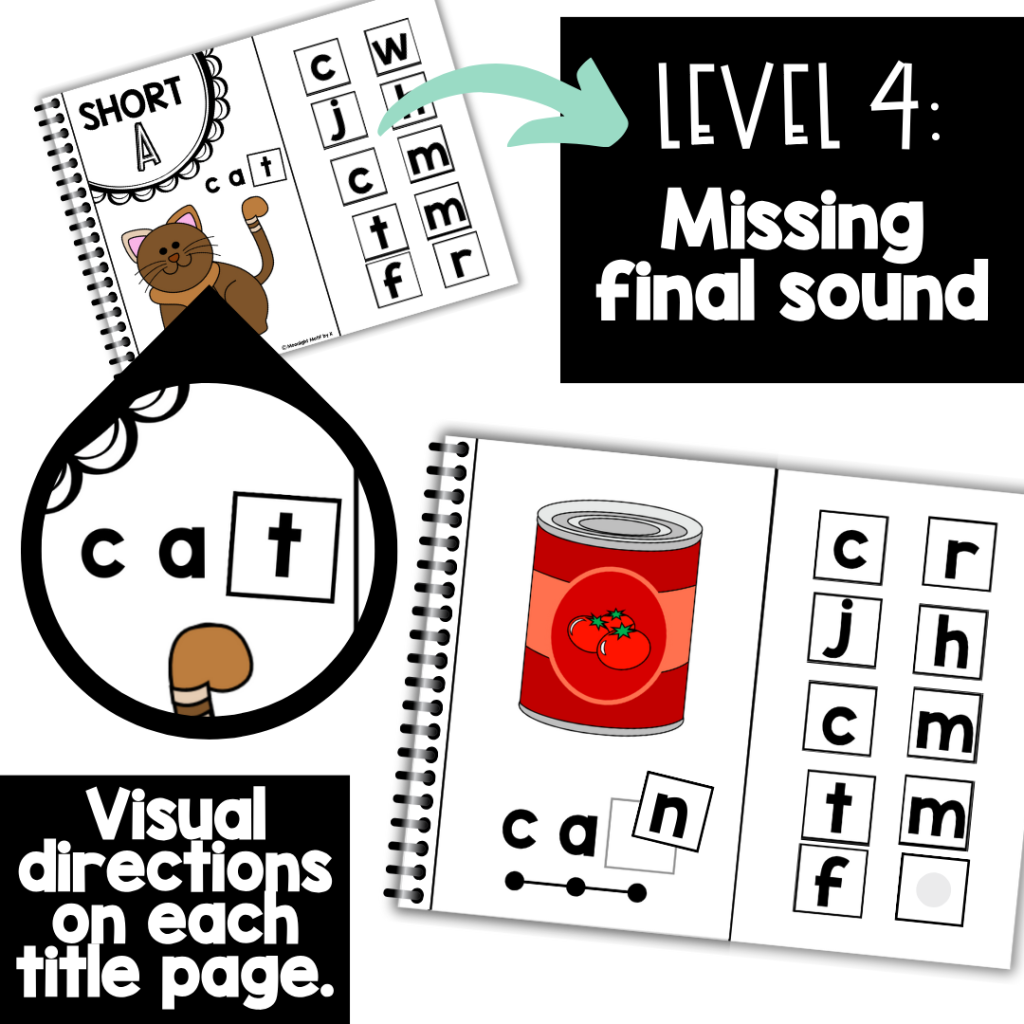 Short A Adapted Books, CVC Adapted Books, Special Education Skill ...