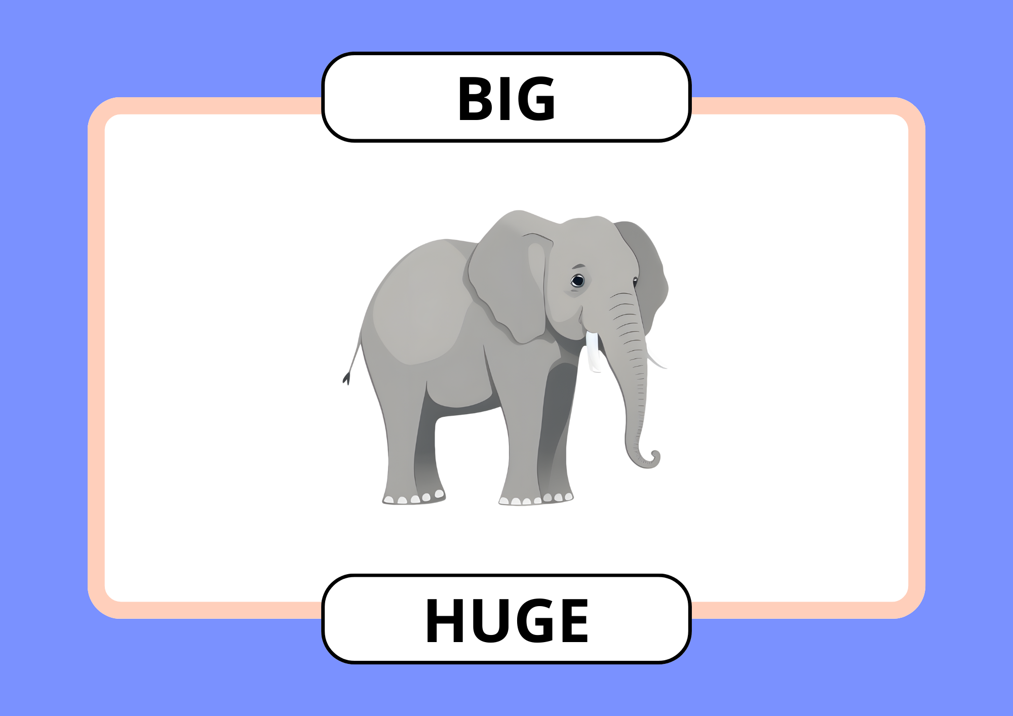 Synonyms Posters.Print and Digital Vocabulary Flash Cards | Made By ...
