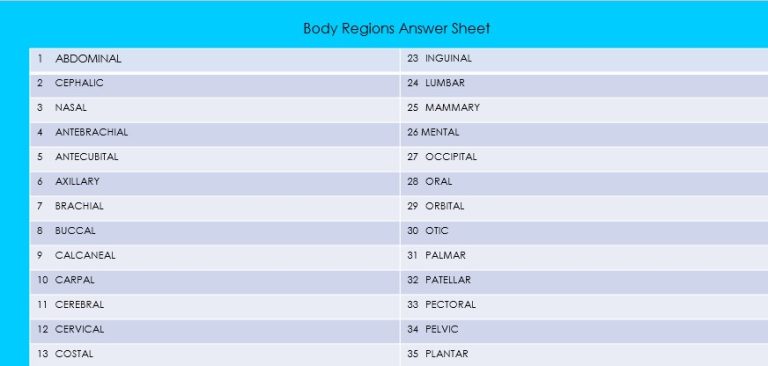 Body Regions Matching Terms (Anatomy and Physiology, Health Sciences ...