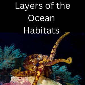 Oceanography Layers of the Ocean Biomes Middle School Science | Made By ...