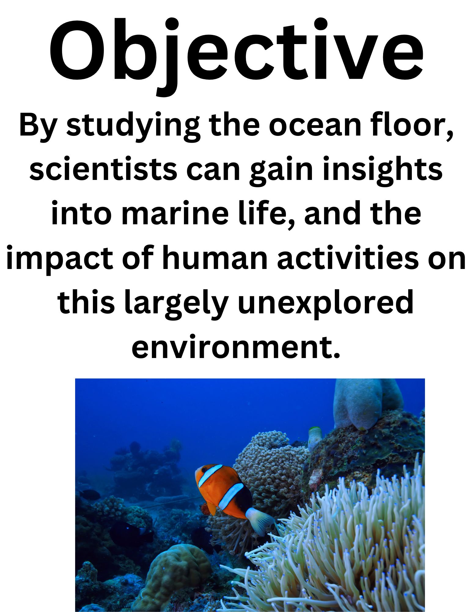 Oceanography Layers of the Ocean Biomes Middle School Science | Made By ...