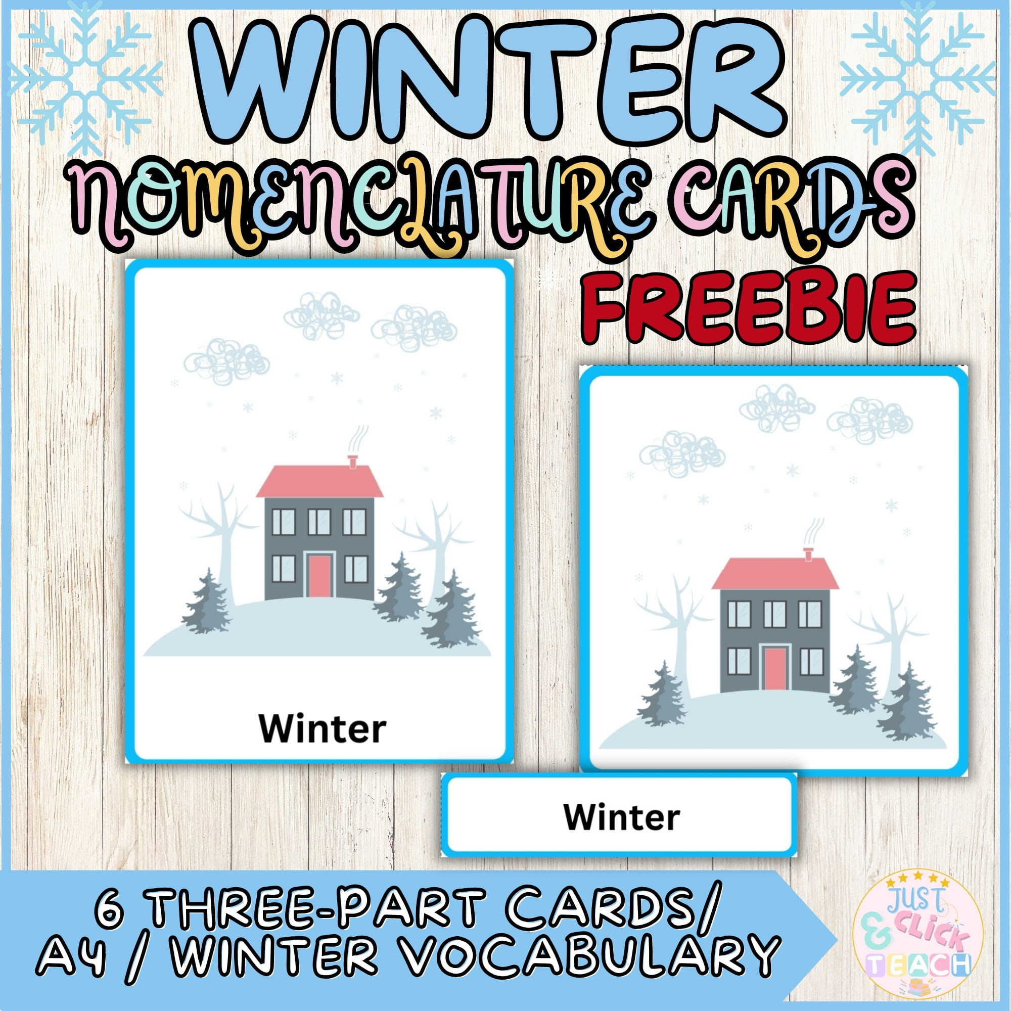 Advanced Nomenclature body parts cards 4| Body parts flashcards| human ...