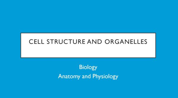 Biology- Cell Structure and Organelles (also Membrane Transport) POWER ...
