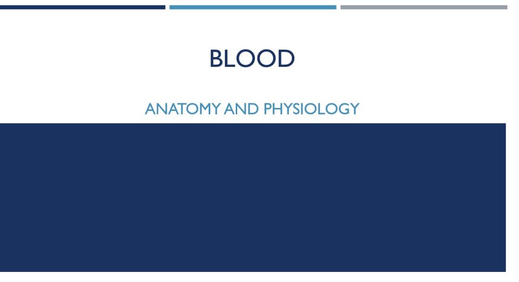 Blood Anatomy and Physiology Power Point | Made By Teachers
