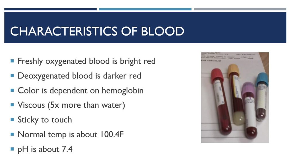 Blood Anatomy and Physiology Power Point | Made By Teachers