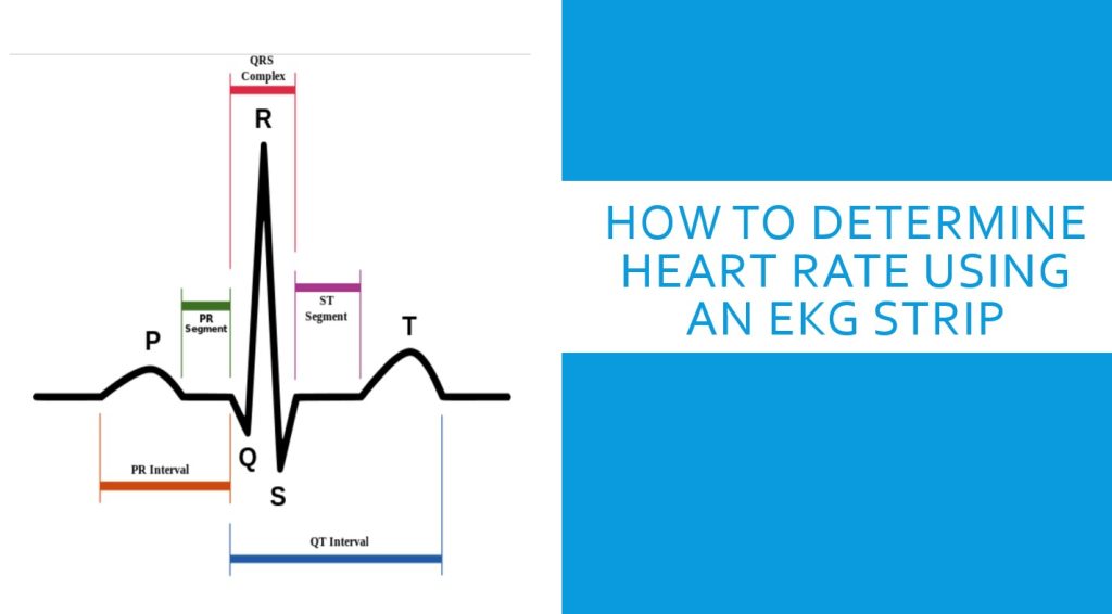 How to Determine Heart Rate Using an EKG Strip (POWER POINT) - Made By ...