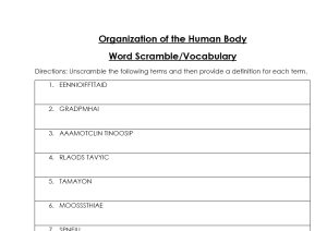 Organization of the Human Body Word Scramble (Anatomy, Physiology ...