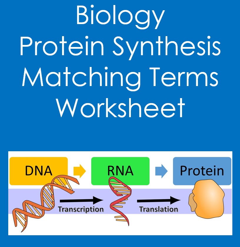 Medical Terminology: Blood Matching Terms (Health Sciences, Nursing ...