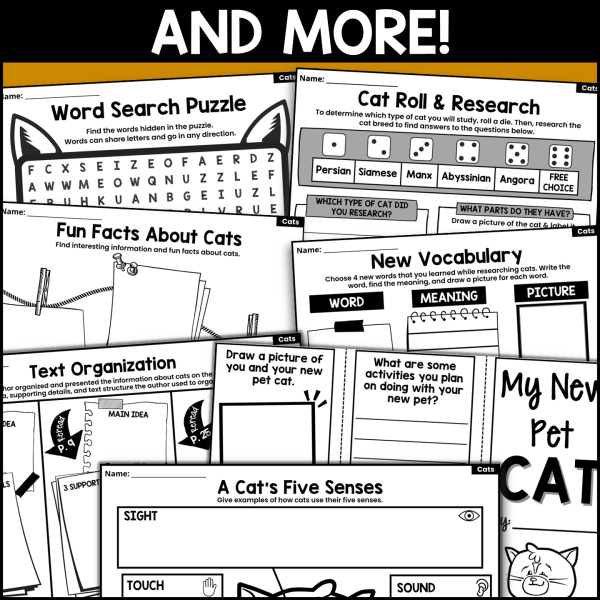Cats by Seymour Simon Interactive Read Aloud Book Companion Activities ...