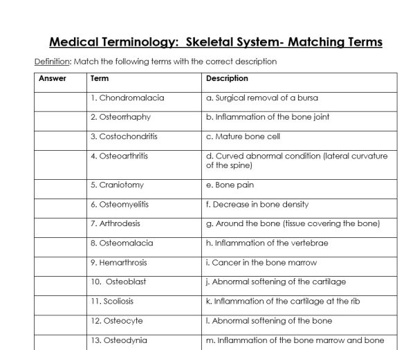 Medical Terminology: Skeletal System- Matching Terms (Health Sciences ...