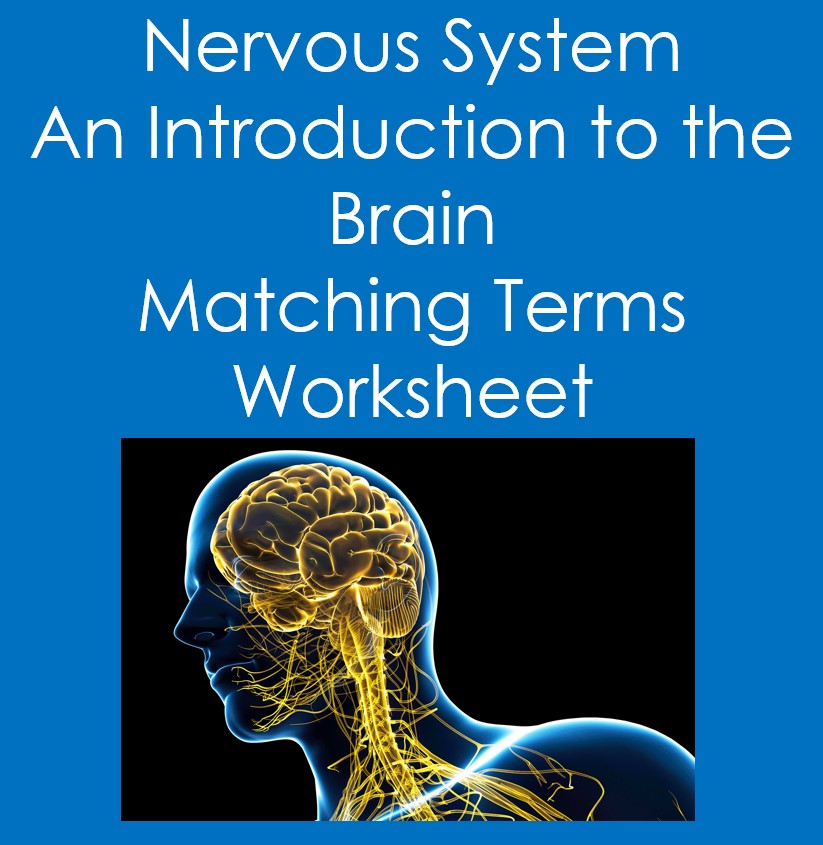 Health Care Careers Matching Cards (Health Sciences, Careers) | Made By ...