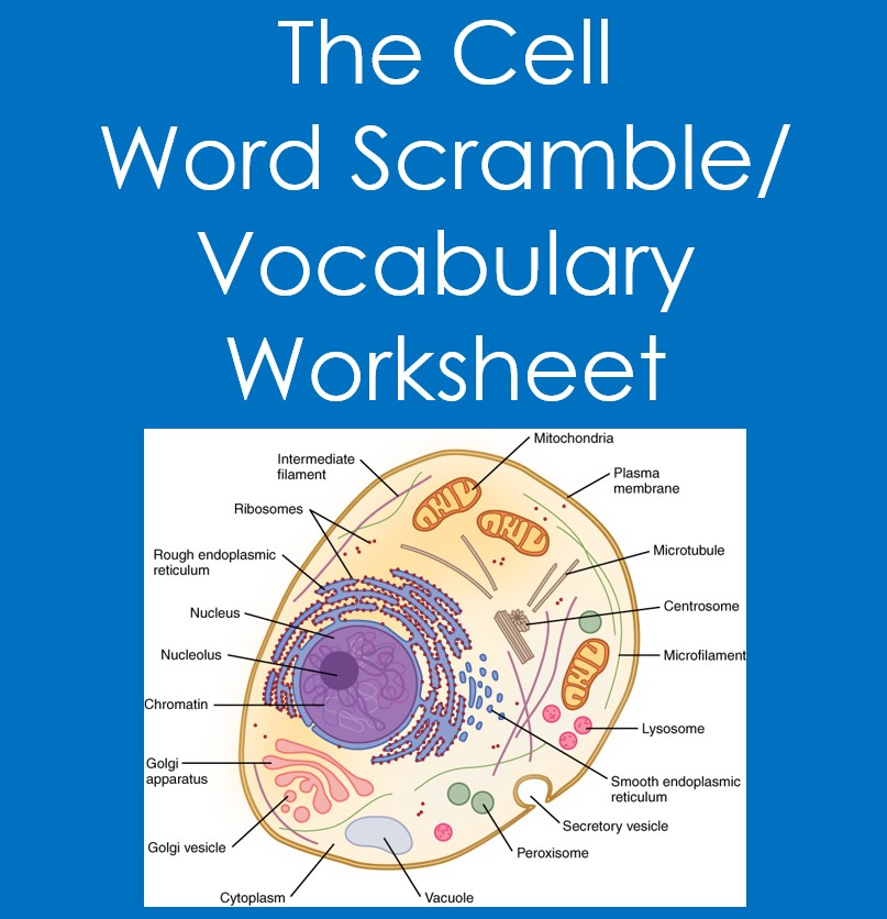 Exploring Veterinary Careers Word Collage (Coloring, Animal Science ...