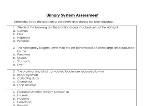 Urinary System Assessment (Excretory System, Anatomy and Physiology ...