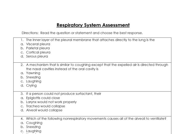 Respiratory System Assessment (Anatomy, Biology, Nursing, Quiz) - Made ...