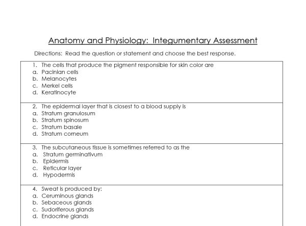 Integumentary System Assessment (Anatomy and Physiology, Science, Quiz ...